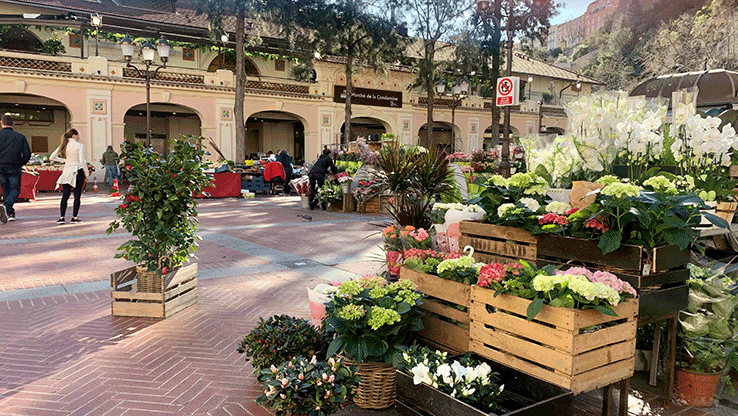 Seafood and corsican cheese on the markets in Monaco