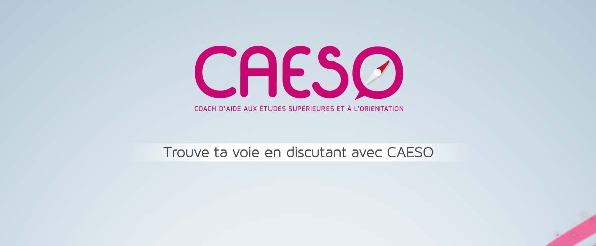 CAESO: a fully digital career choice guidance